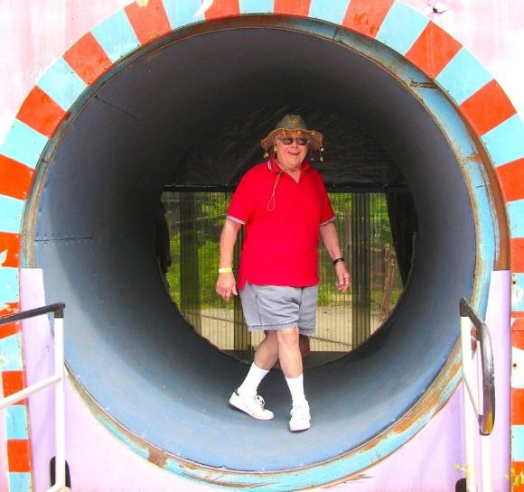 Fun House longings - Park World Online