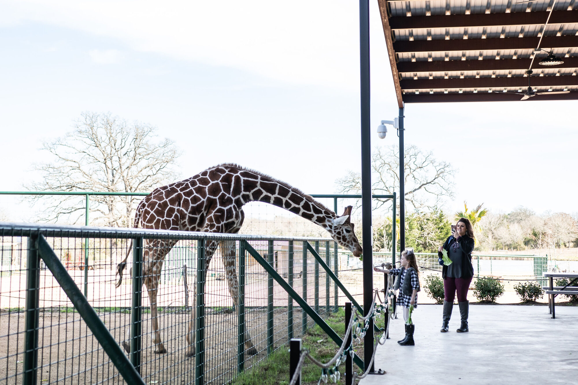 Parks! America Inc. selects accesso ticketing solution - Park World Online